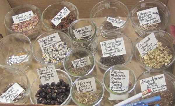 Seeds – Singing Spindle Spinnery